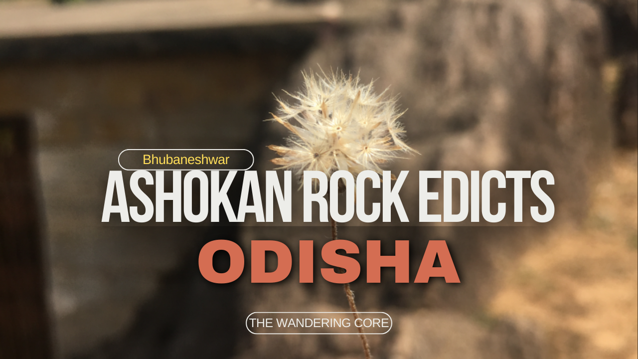The unexplored Ashokan Rock Edicts, Odisha - The Wandering Core